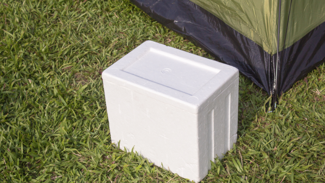Uncovering the Cool Science Behind Modern Coolers