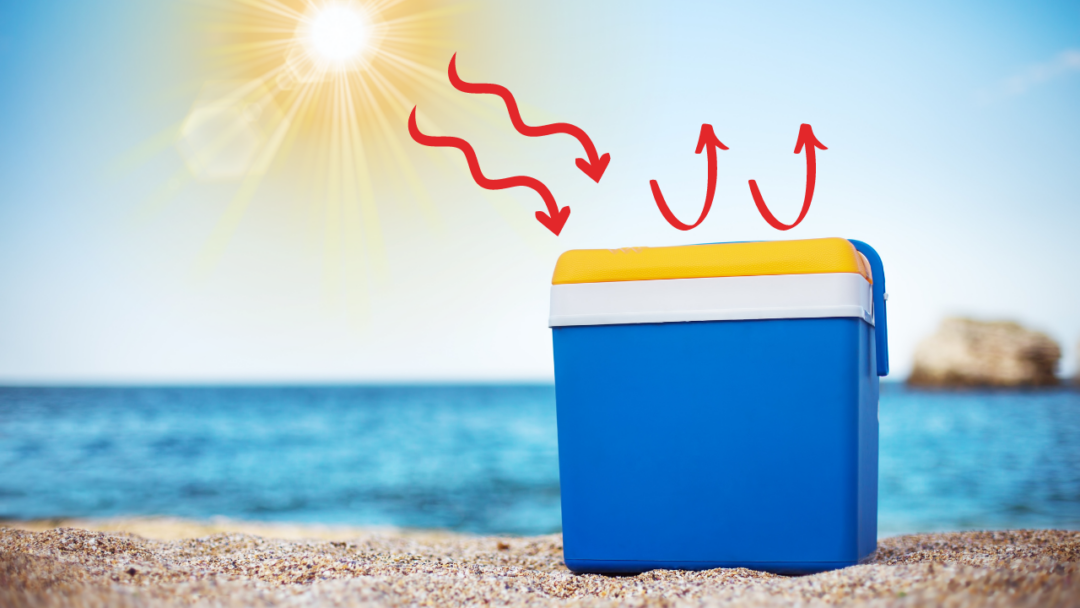 Uncovering the Cool Science Behind Modern Coolers