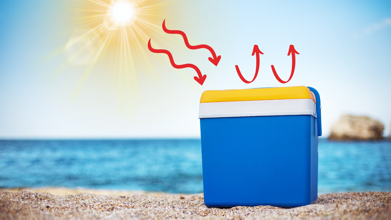 Uncovering The Cool Science Behind Modern Coolers uncovering-the-cool-science-behind-modern-coolers